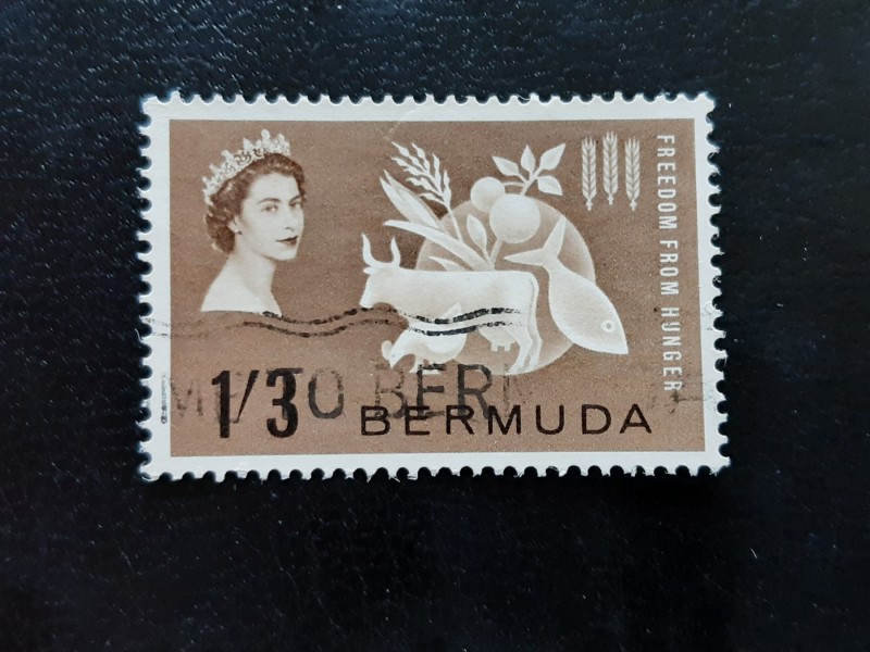 BERMUDA 1963