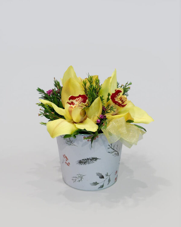 Orhideja Cymbidium i dekorativno zelenilo