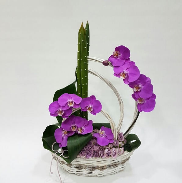 ARANZMAN U POSUDI SA PHALAENOPSIS ORHIDEJAMA I RUZICAMA, PRATECIM ZELENILOM I DETALJIMA