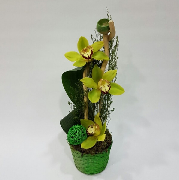 ARANZMAN U POSUDI SA CVETOVIMA CYMBIDIUM ORHIDEJE I PRATECIM DETALJIMA