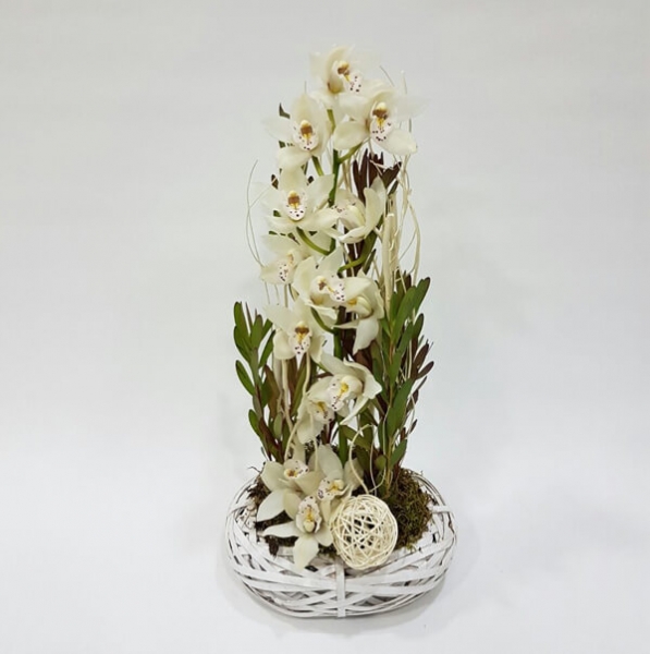 ARANZMAN U POSUDI SA GRANOM CYMBIDIUM ORHIDEJE