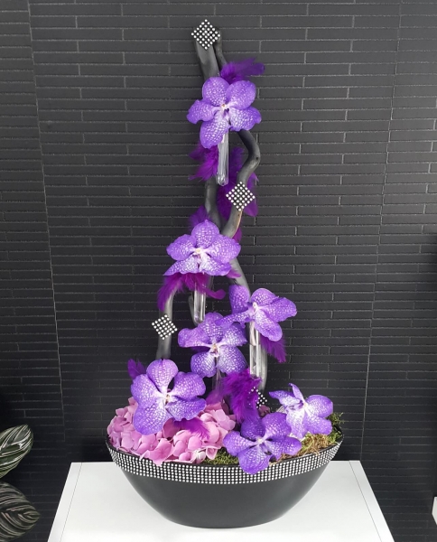 ARANZMAN U POSUDI SA VANDA ORHIDEJAMA I HORTENZIJOM