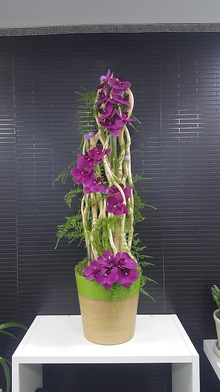 Aranzman u keramickoj posudi sa ciklama phalaenopsis orhidejom i pratecim zelenilom i detaljima