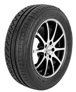 Profil Winter Maxx Evo 205/55 R16 91H, totalna obnova