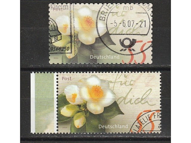 Deutsche Bundespost - 2004 - Camellia yunnanensis