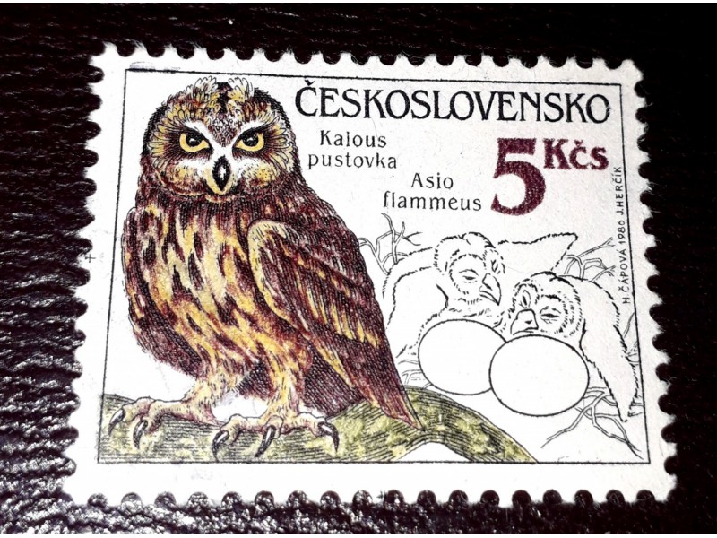 Čehoslovačka - fauna
