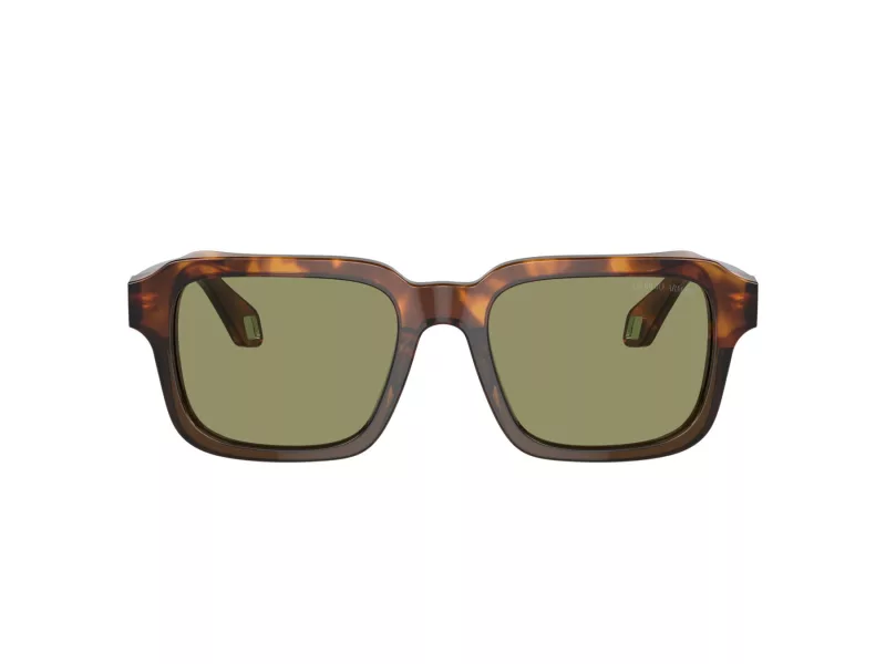Giorgio Armani Naočare za sunce AR 8194U 598814