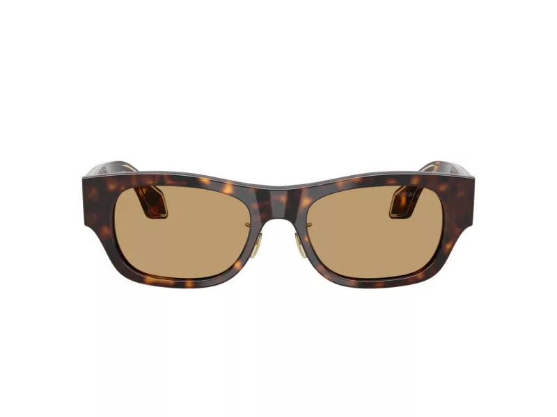 Giorgio Armani Naočare za sunce AR 8224 502673