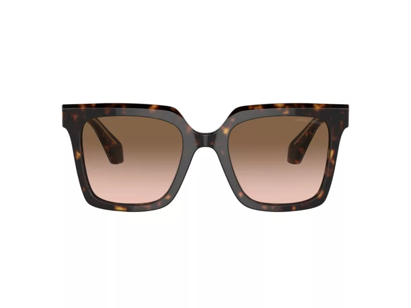 Giorgio Armani Naočare za sunce AR 8156 587951