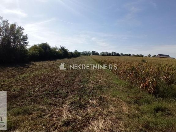 Plac 54 ara, Stubline, Obrenovac - 40000€