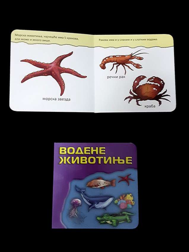 POKLON POPUST OD 50% DO 26.10. VODENE ŽIVOTINJE TVRDA SL. 16X16 SVET OKO TEBE
Šifra: 4405 JM: KOM