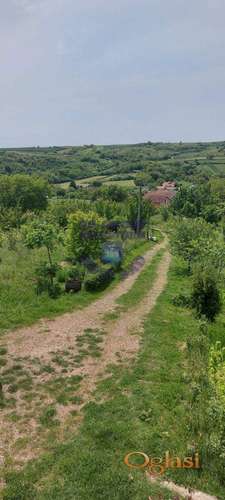 Odličan!