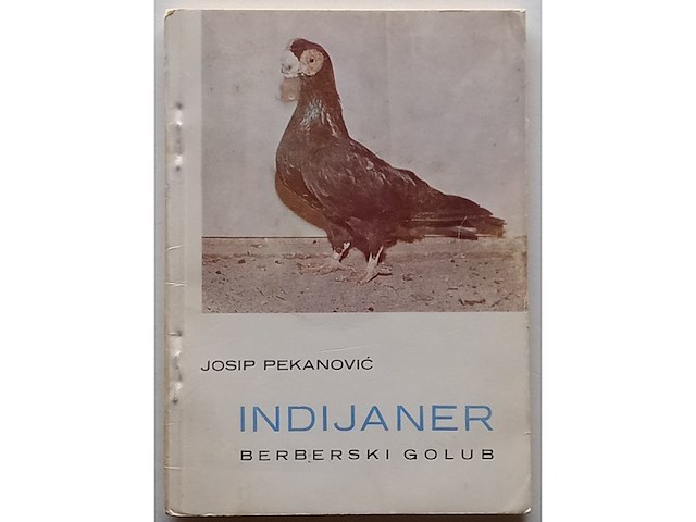 Josip Pekanović: INDIJANER BERBERSKI GOLUB