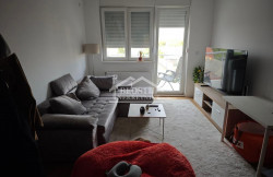 Stara Pazova - Centar - 1.5 ID#24451