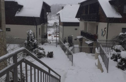 Stan-Apartman za Duži Najam, Zlatibor-Čajetina, €60