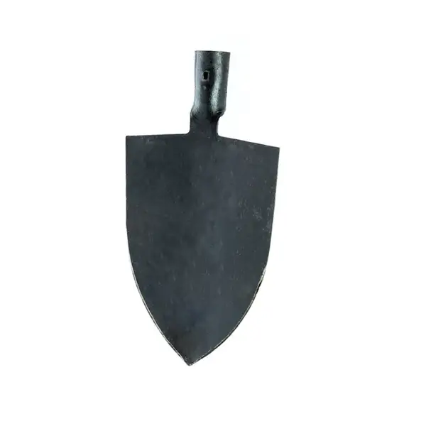 Ašov kovani 12966