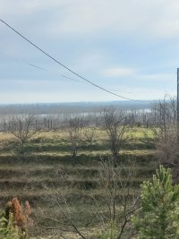 Plac sa pogledom na Dunav-Belegis