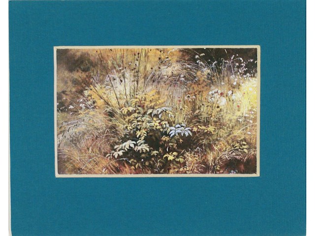 Trava  -  Šiškin