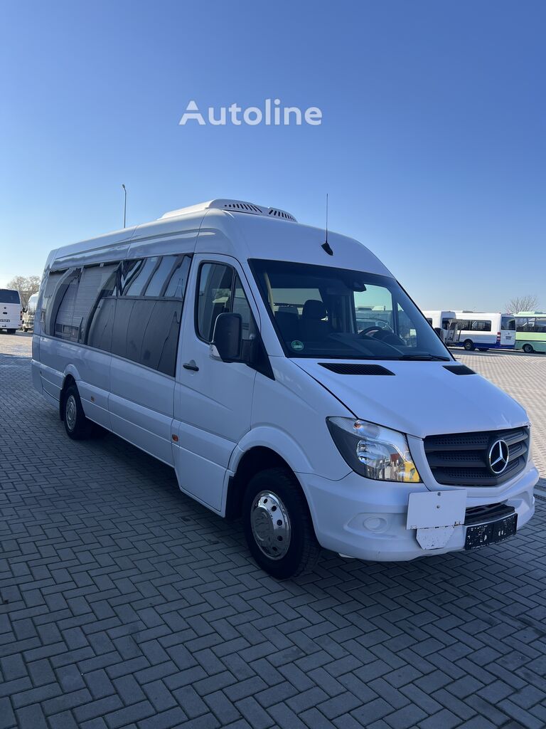 Mercedes-Benz 519 putnički minibus