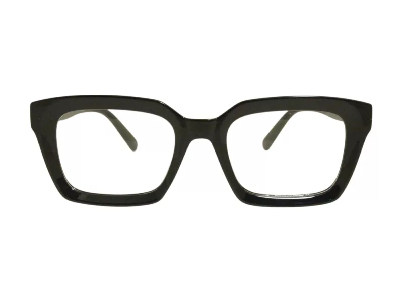 Berkeley Naočare BB 5096 C1