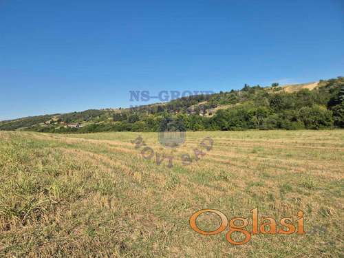 Poljopriveredno zemljiste u Sremskim Karlovcima,25300m2