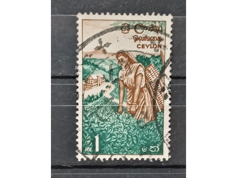 CEJLON 1964 - BERAČ ČAJA