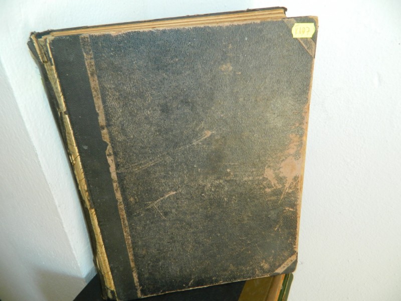 Brankovo kolo (1897)
