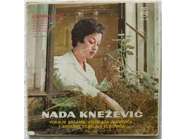 NADA  KNEZEVIC  -  CIGANSKA  NOC