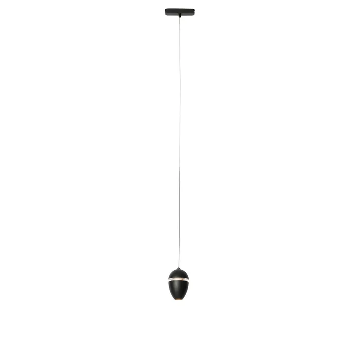 Moderna crna viseća lampa za 1-fazni šinski sistem uklj. LED - Magnetic Eggy