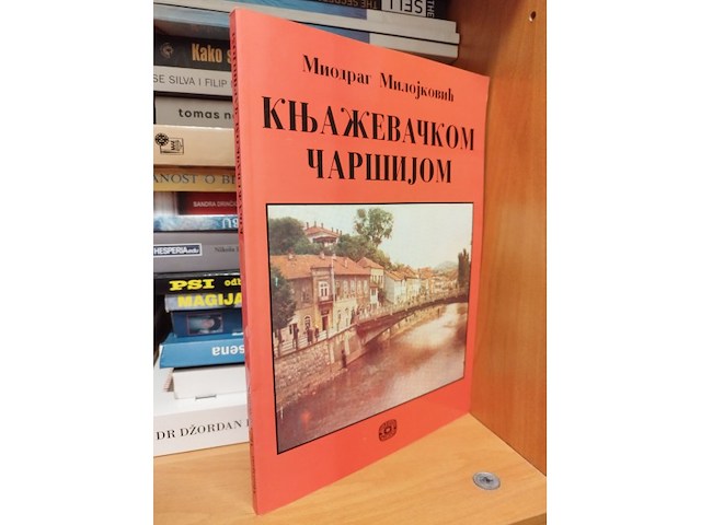 Knjaževačkom čaršijom, Miodrag Milojković