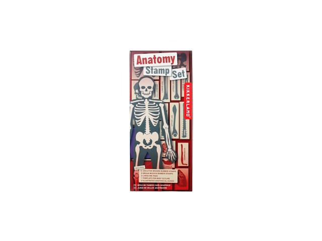 Pečati set - Anatomy