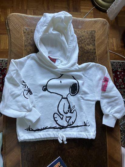 Snoopy duks