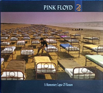 A Momentary Lapse Of Reason