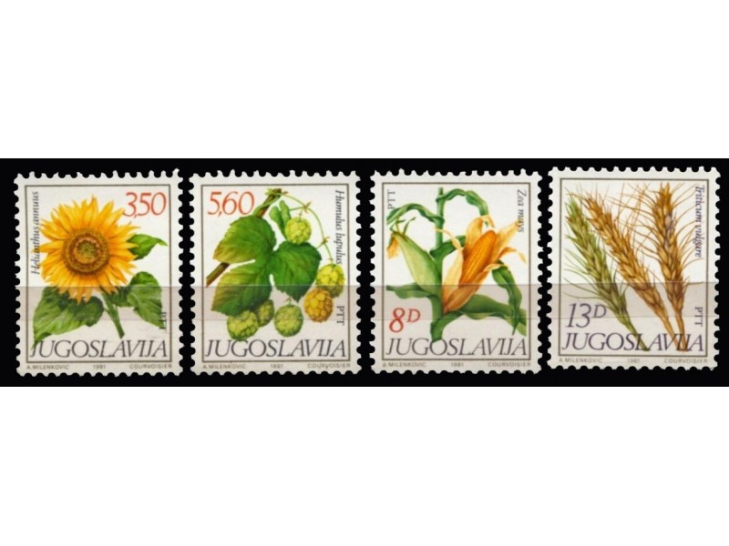 FLORA 1981