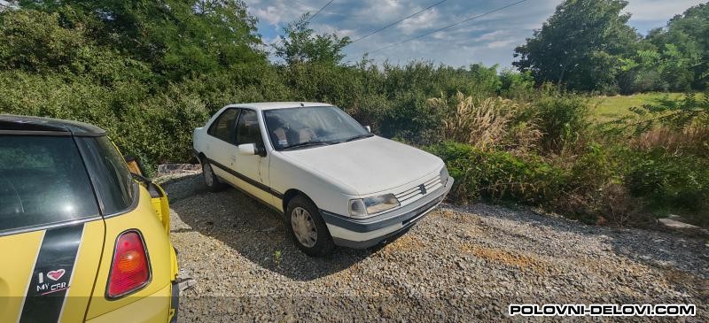Peugeot 405 1.9 Sr Kompletan Auto U Delovima