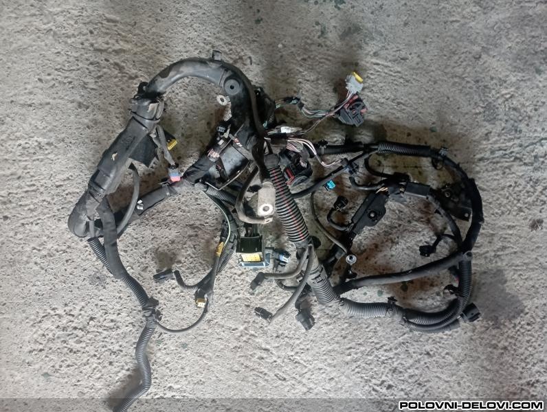 Peugeot 308 Elektrika I Paljenje