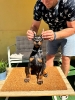 Doberman stenci