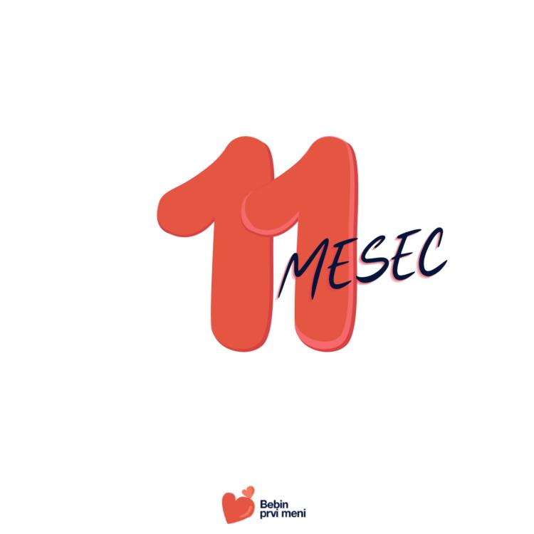 11 mesec planer