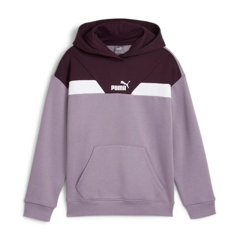 DEČIJI DUKS PUMA POWER HOODIE FL G