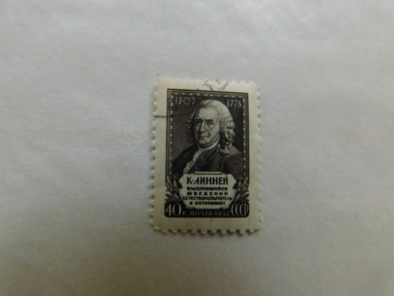 SSSR 1958