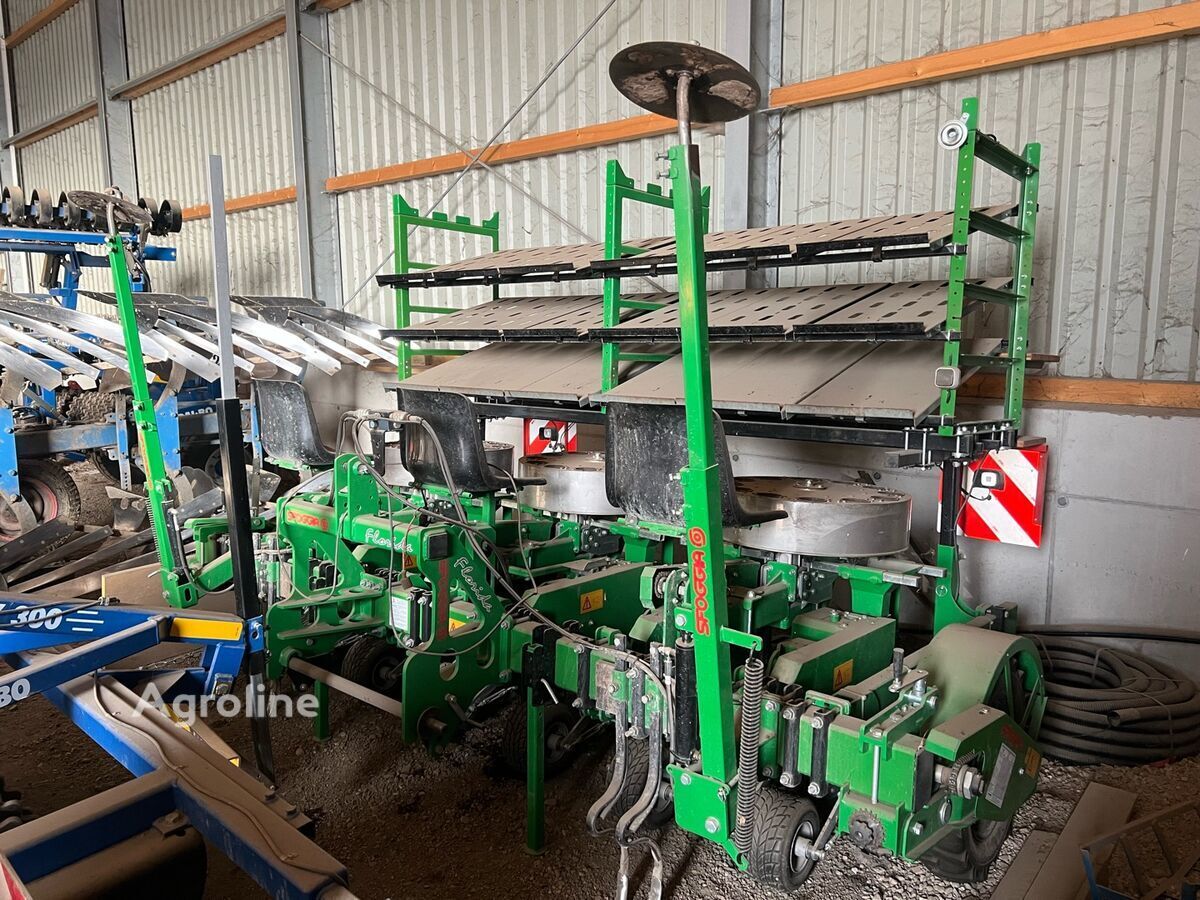 Sfoggia F12 sadilica rasada