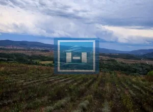 Prodaja Plac - Paraćin