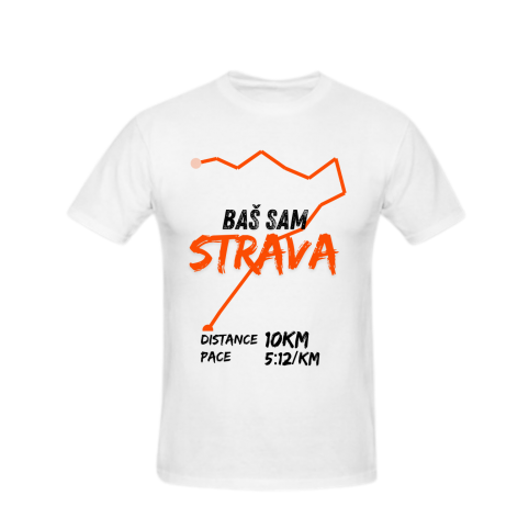 BAŠ SAM STRAVA (CS4253)