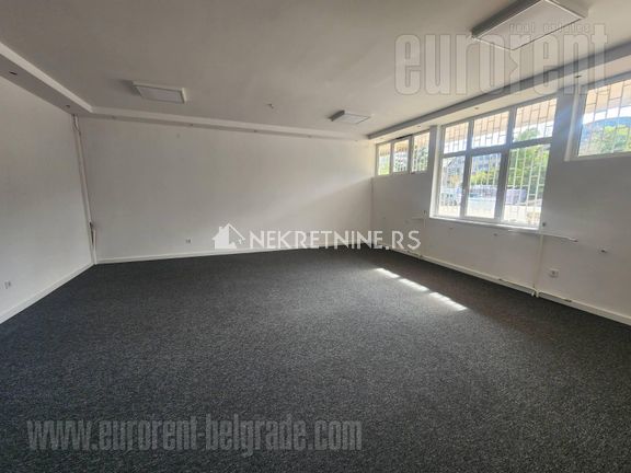 #49241, Izdavanje, P.P., STEPA STEPANOVIĆ, 4000 EUR