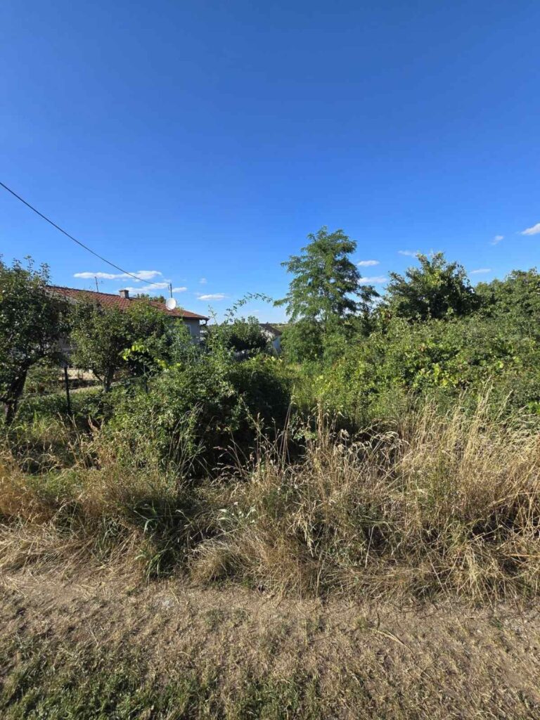 Plac od 61ar u Belom Bregu-Indjija