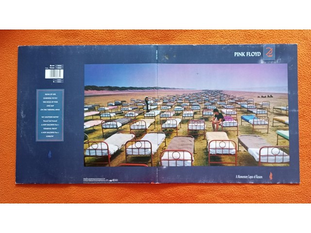PINK FLOYD - A Momentary Lapse Of Reason(LP)MadeHolland