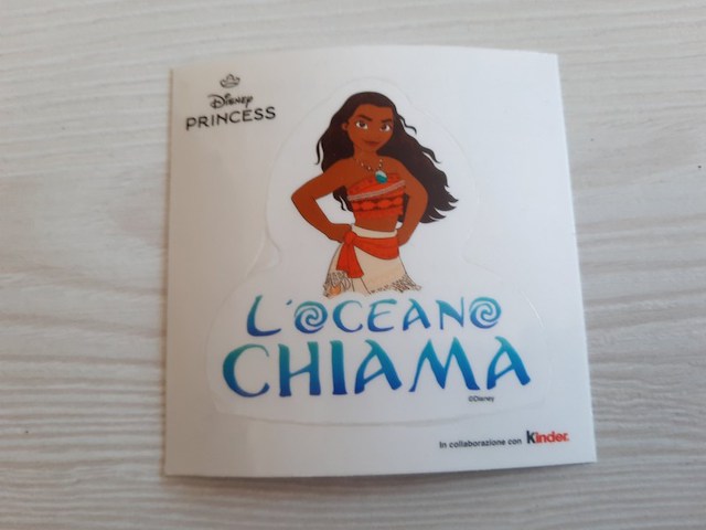 PIXAR PRINCESS CHIAMA