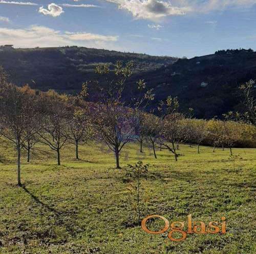 Ledinco plac 1.512m2.