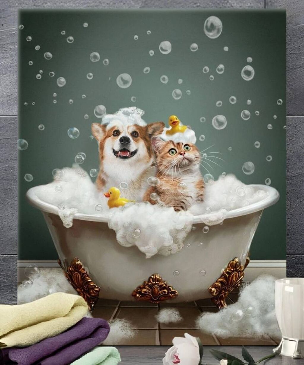 ✨ Spa i nega za vaše ljubimce ✨   ‍⬛    ‍⬛    ‍⬛    ‍⬛    ‍⬛    Čistoća +