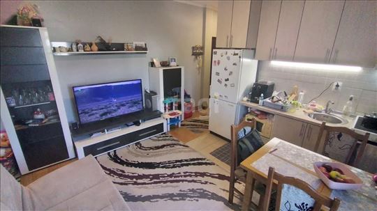 2.5 renoviran stan sa velikom lodjom